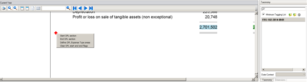 CCH iXBRL Review & Tag : Tagging the Detailed Profit and Loss (DPL)