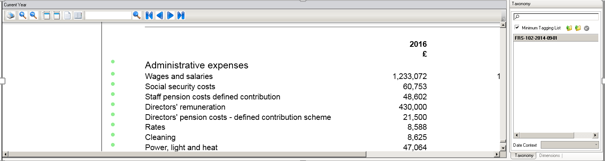 CCH iXBRL Review & Tag : Tagging the Detailed Profit and Loss (DPL)