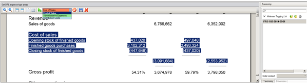 CCH iXBRL Review & Tag : Tagging the Detailed Profit and Loss (DPL)