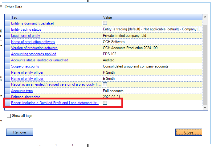 CCH iXBRL Review & Tag : I am getting General iXBRL error "bus ...